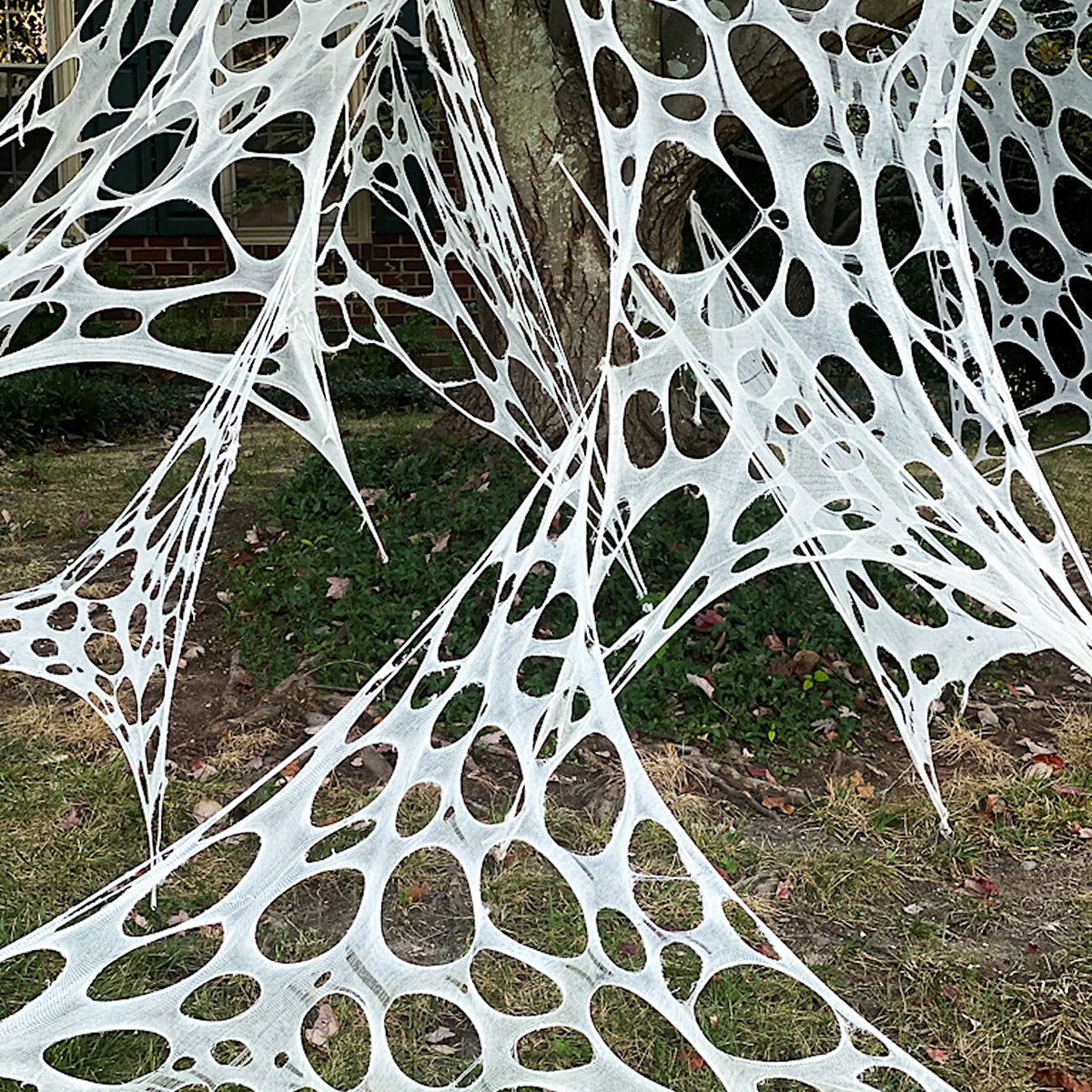 Tela de Araña – Frank & Mortis